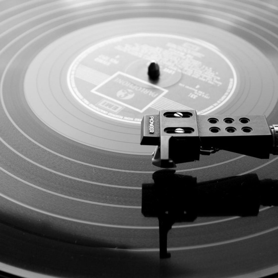 Outside Lands Festival 2011: Interview with Musicologist Stephen Thomas ...